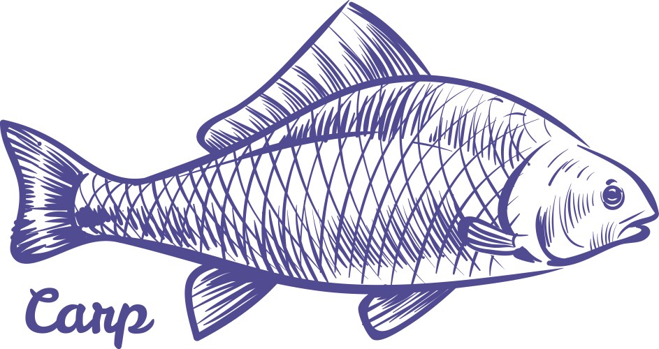 River Sketch Water Vector Images (over 5,700)