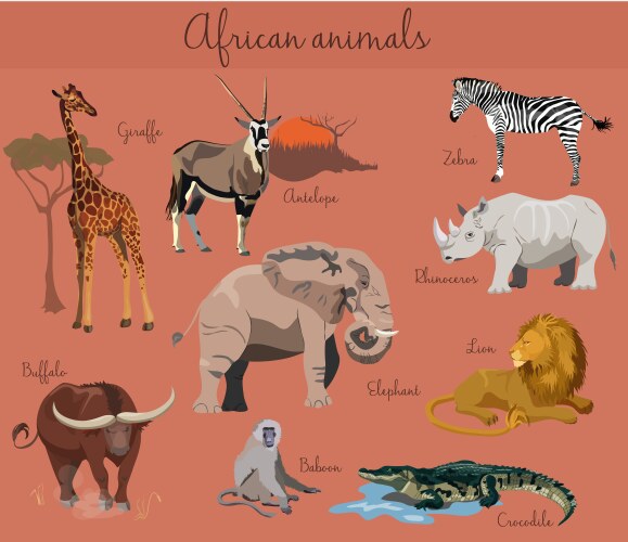 Wild Animals Vector Images (over 800,000)