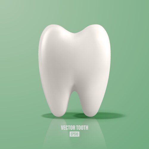 Realistic teeth Royalty Free Vector Image - VectorStock