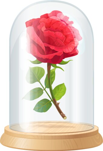 Line rose glass flask Royalty Free Vector Image