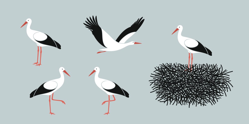Stork Vector Images (over 9,000)