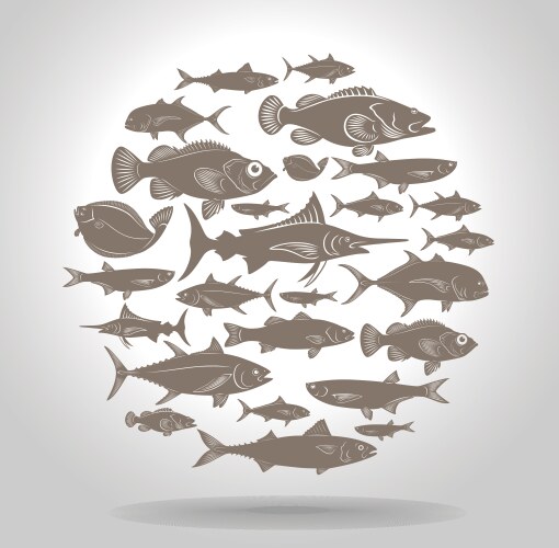 Tilapia fish Royalty Free Vector Image - VectorStock