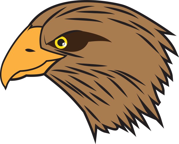 Bald eagle flying cartoon Royalty Free Vector Image