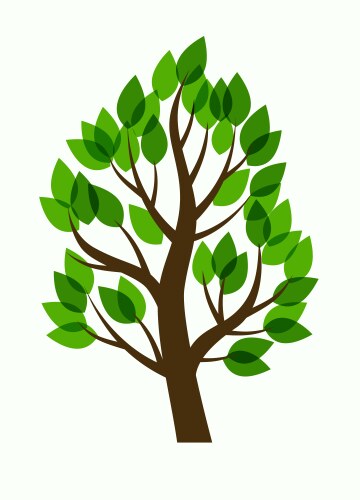 Spring tree Royalty Free Vector Image - VectorStock
