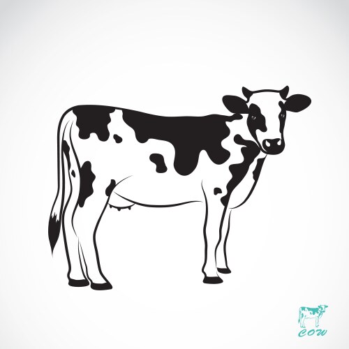 Cow Vector Images & Graphics for Commercial Use | VectorStock