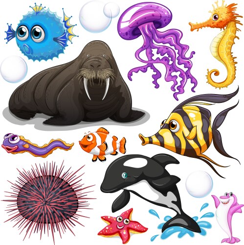 Large set sea creatures on white background Vector Image