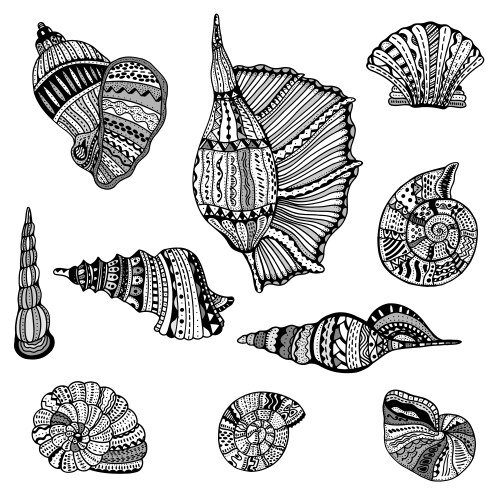Set of decorative shell Royalty Free Vector Image