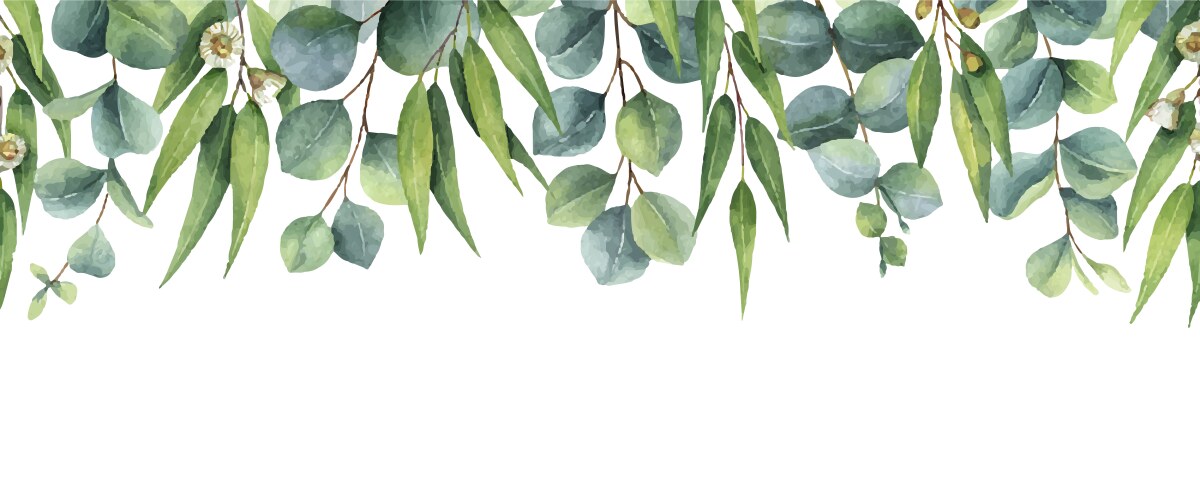 Eucalyptus Vector Images (over 19,000)