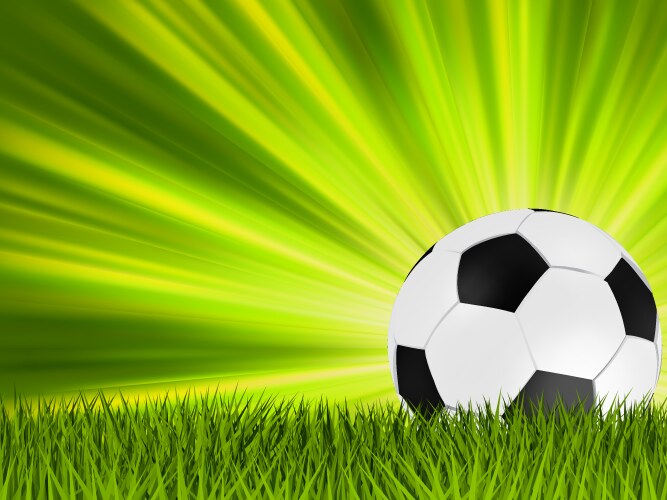 Realistic football soccer stadium background Vector Image