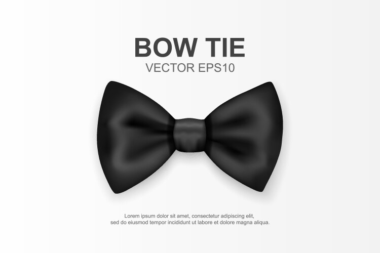 Realistic bow tie Royalty Free Vector Image - VectorStock