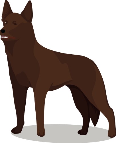 Kelpie Dog Vector Images (over 180)