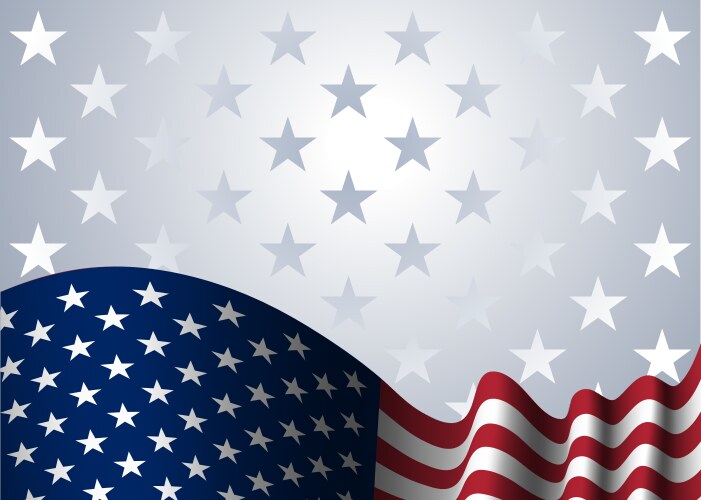 American flag isolated Royalty Free Vector Image