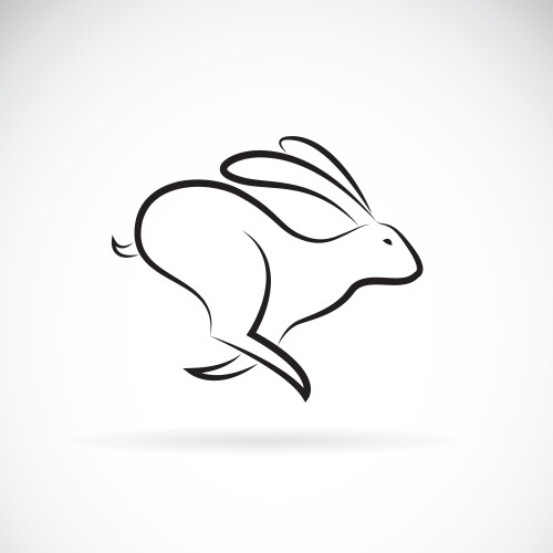 Rabbit Outline Vector Images (over 23,000)
