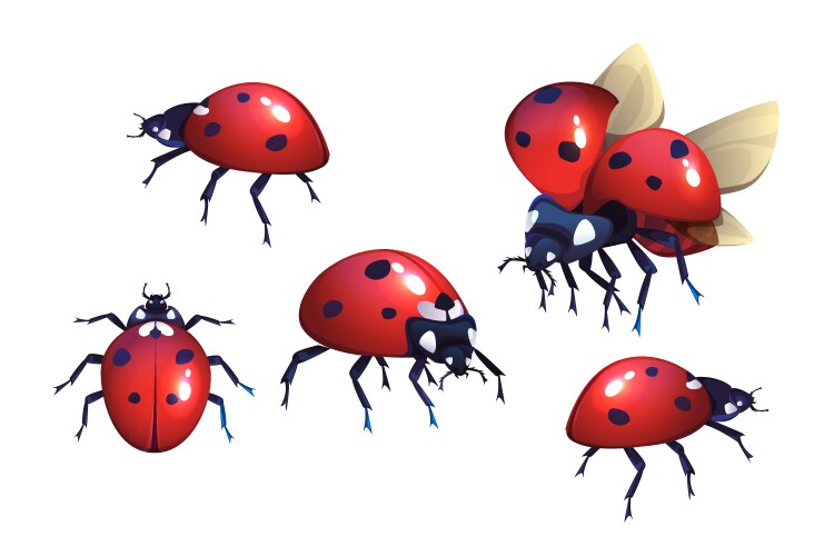 Beetle Cartoon Vector Images (over 15,000)