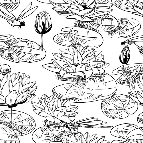 Water lily and dragonfly Royalty Free Vector Image
