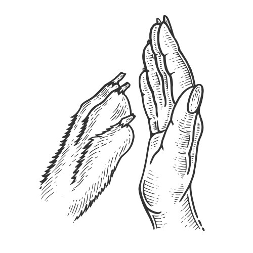 High Five Cartoon Vector Images (over 1,800)