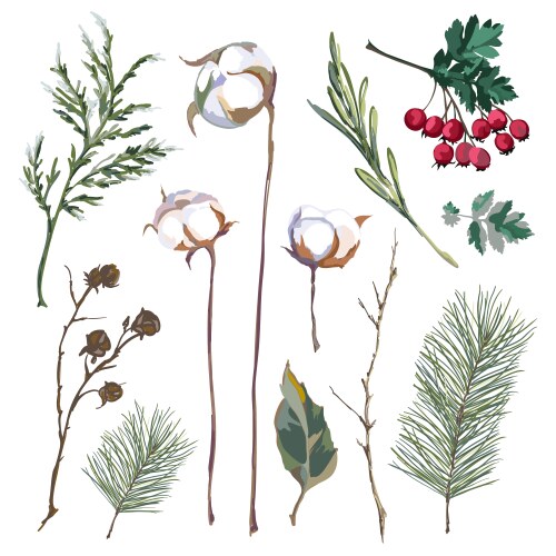 Set of herbs and flowers hand drawn Royalty Free Vector