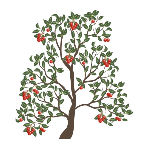 Cherry Vector Images (over 160,000)