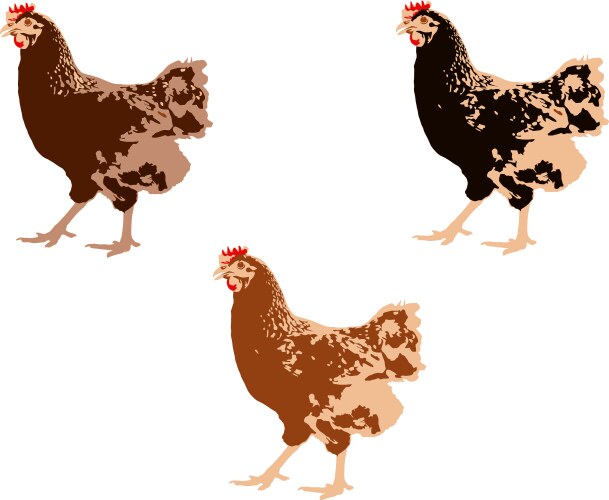 Hens Vector Images (over 42,000)