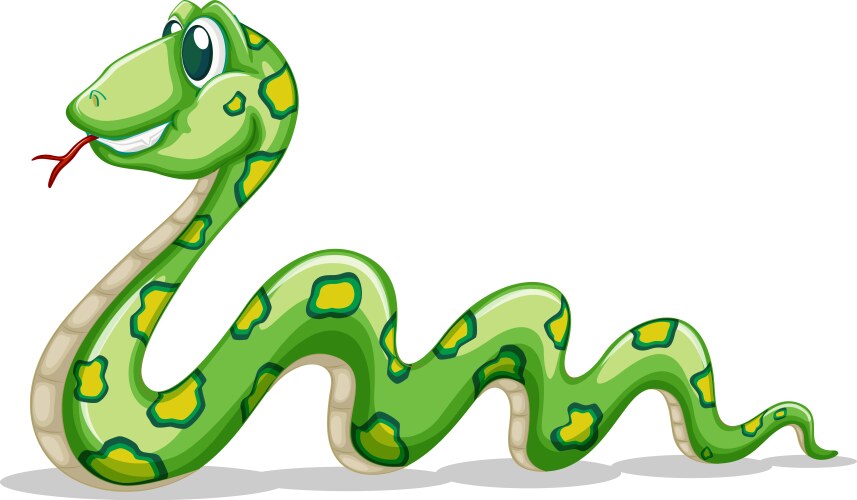 Green snake characters set on white background Vector Image