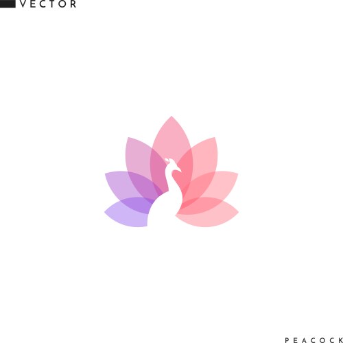 Peacock Vector Images (over 16,000)