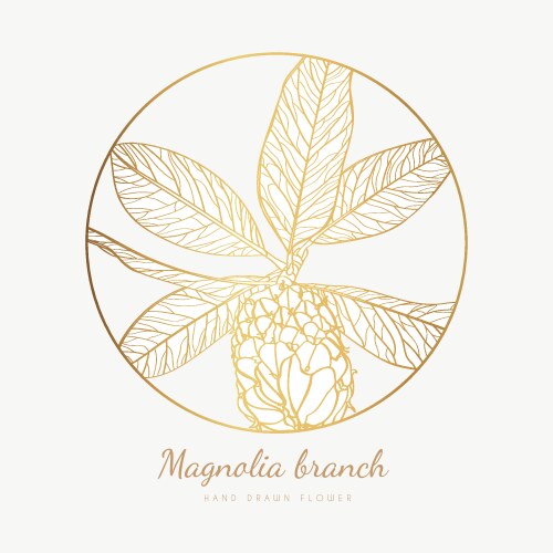Magnolia Logo Vector Images (over 1,000)