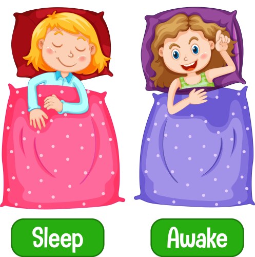 Opposite words with awake and sleep Royalty Free Vector