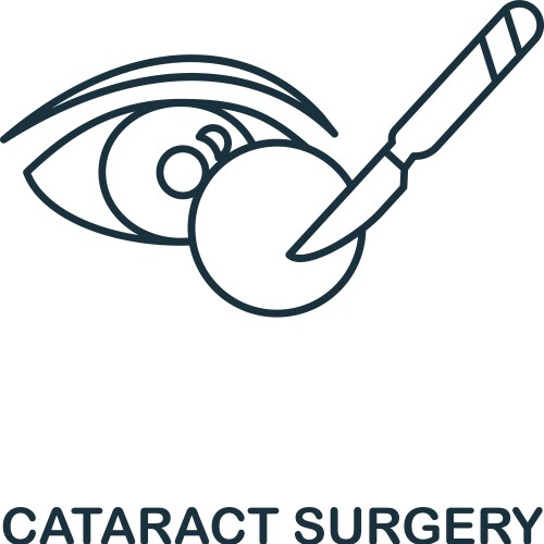 Cataract surgery flat icon ophthalmology lasik Vector Image