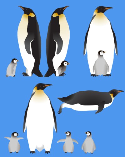 Penguin Vector Images (over 37,000)
