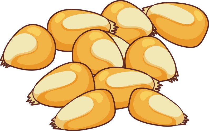 Corn seed icon Royalty Free Vector Image - VectorStock