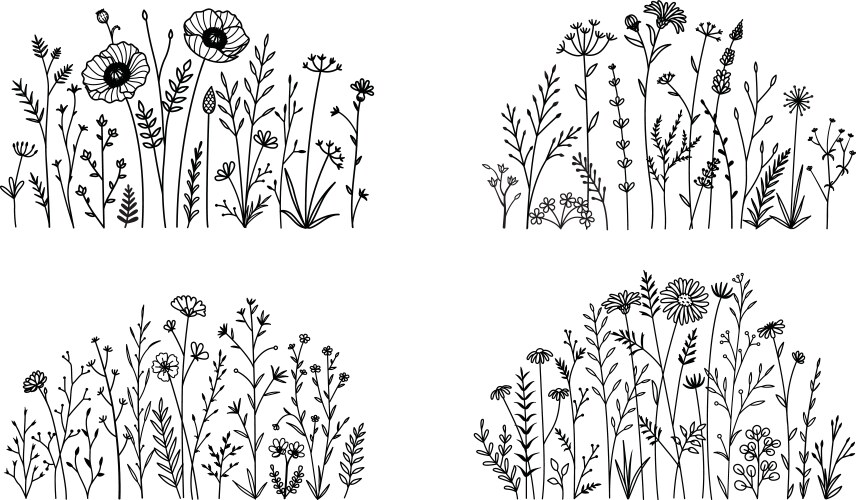 Sketch Wildflowers Vector Images (over 15,000)