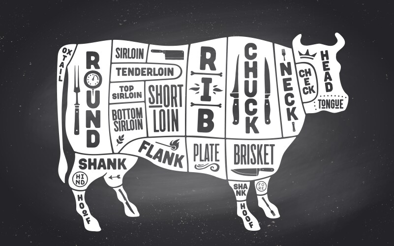 Cut of beef butcher diagram and scheme cow Vector Image