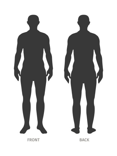 Human Body Front Back Outline Vector Images (over 650)
