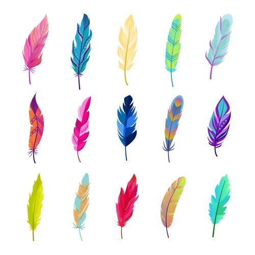 Colored feathers set Royalty Free Vector Image