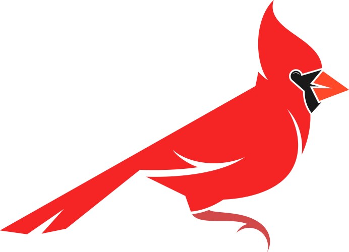 Cardinal Vector Images (over 4,600)