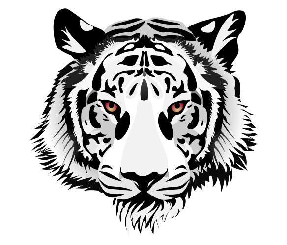 Tiger face drawing animal Royalty Free Vector Image