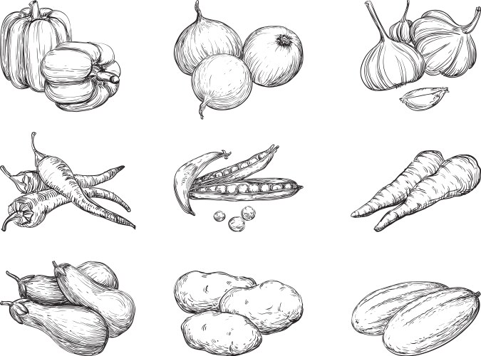 Vegetables Vector Images (over 590,000)