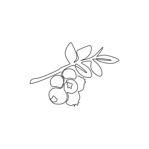 Continuous one single line art drawing Royalty Free Vector