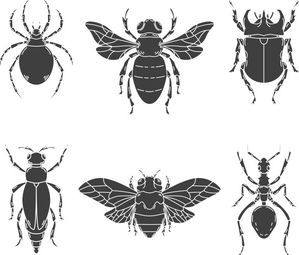 Insects Royalty Free Vector Image - VectorStock