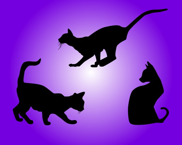Cats Vector Images (over 360,000)