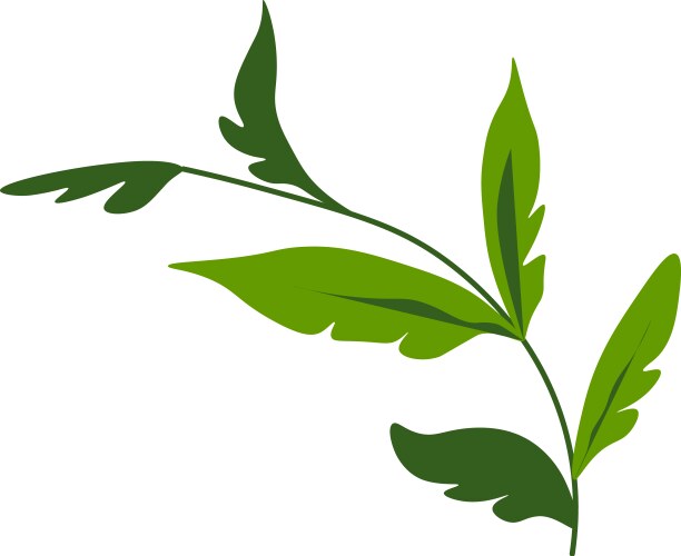 Mate 1 branch shape Royalty Free Vector Image - VectorStock