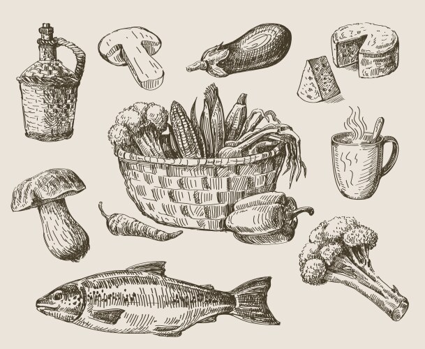 Hand drawn food sketch Royalty Free Vector Image