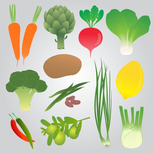 Vegetables slice set Royalty Free Vector Image