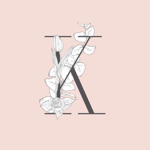 K Monogram Vector Images (over 41,000)