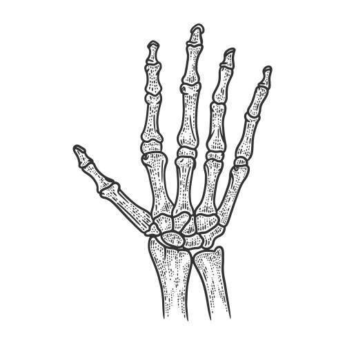 Skeleton hand with four aces Royalty Free Vector Image
