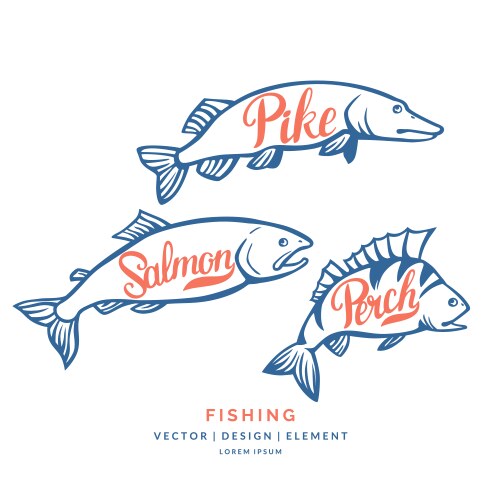 Modern hand drawn lettering phrase Royalty Free Vector Image