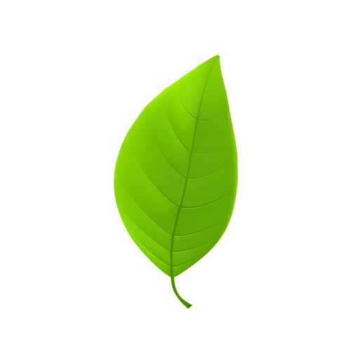 Leaf Vector Images (over 2.1 million)