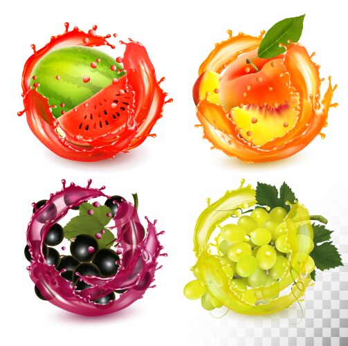 Big collection fruit in a water splash icons Vector Image