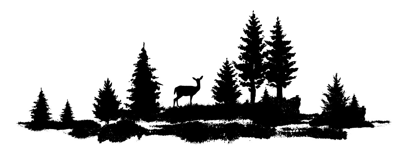 Forest Border Vector Images (over 24,000)