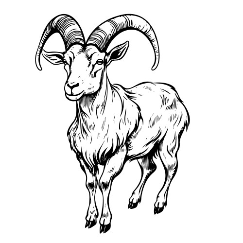 Capra Vector Images (over 250)